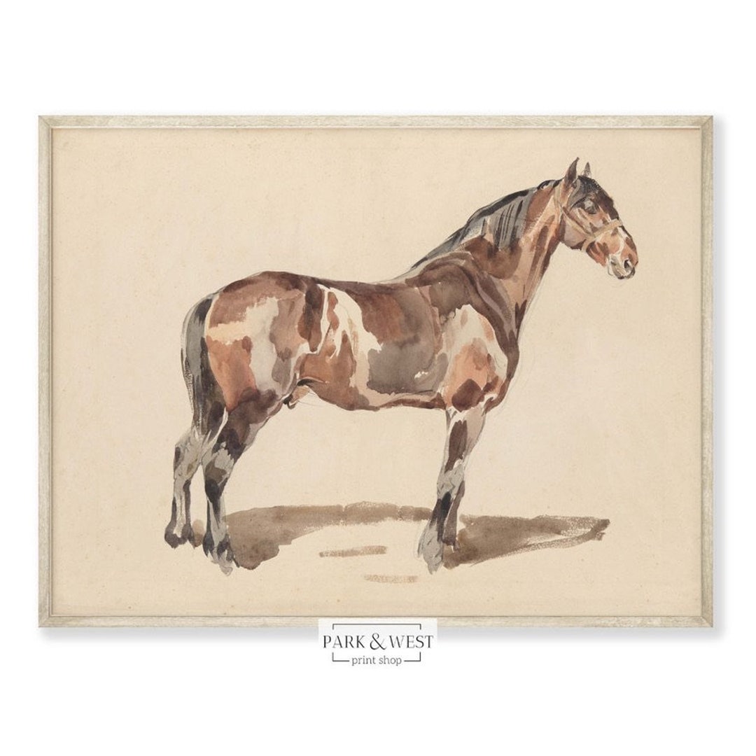 Study of a Horse | Digital Printable Art | Vintage Watercolor Horse ...