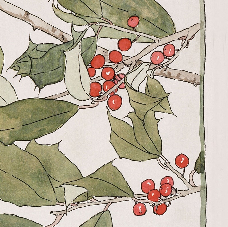 Holly | Digital Printable Art | Vintage Botanical Print | Christmas Art ...