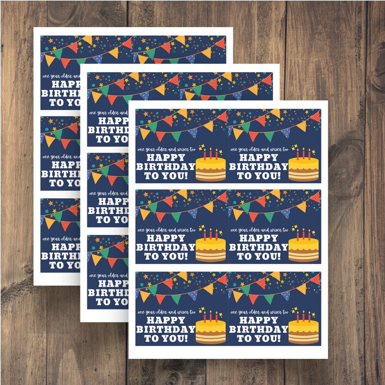 Primary Birthday Tag | One Year Older and Wiser Too | Happy Birthday ...