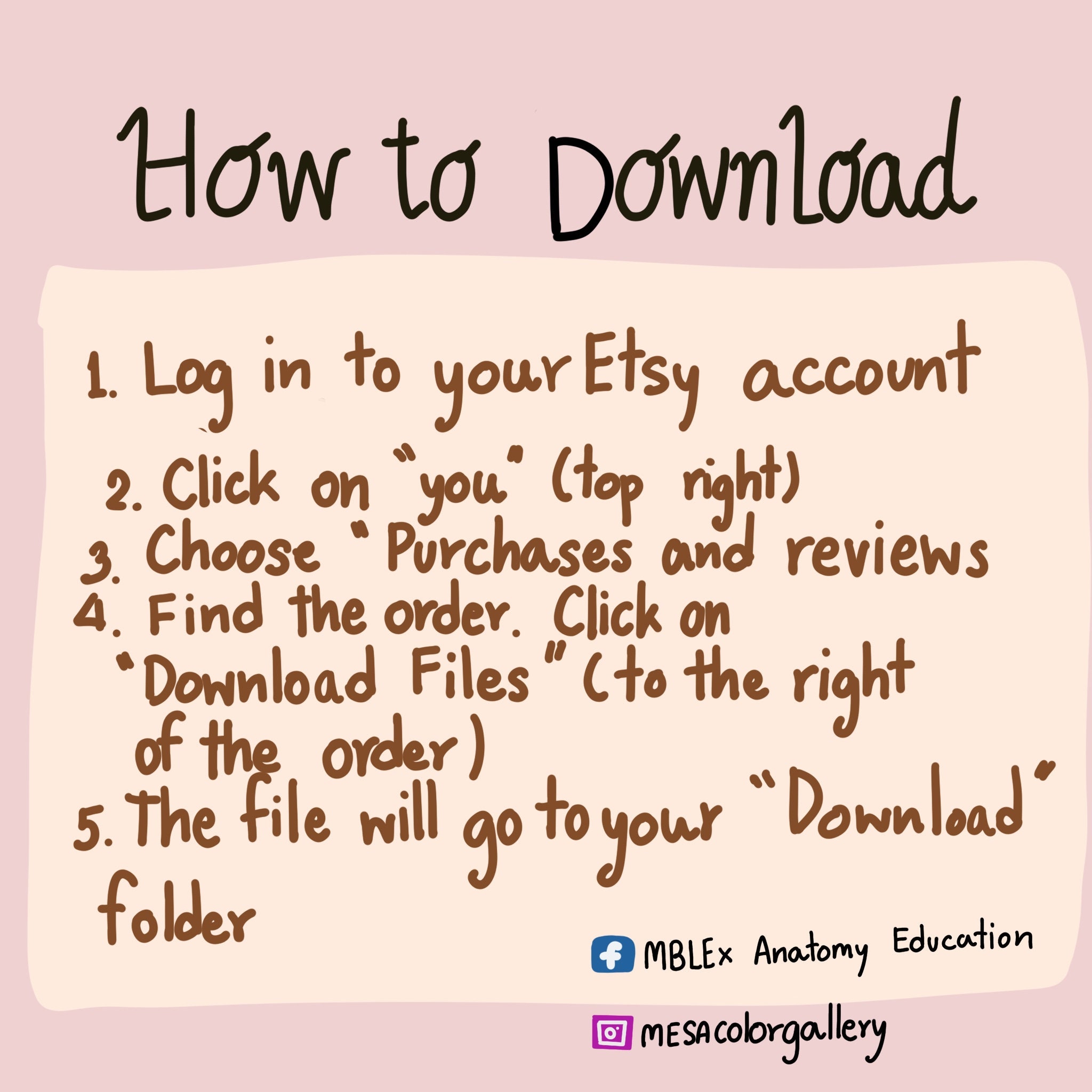 Human Skeletal System Anatomy Sticker, Student Digital Planner ...