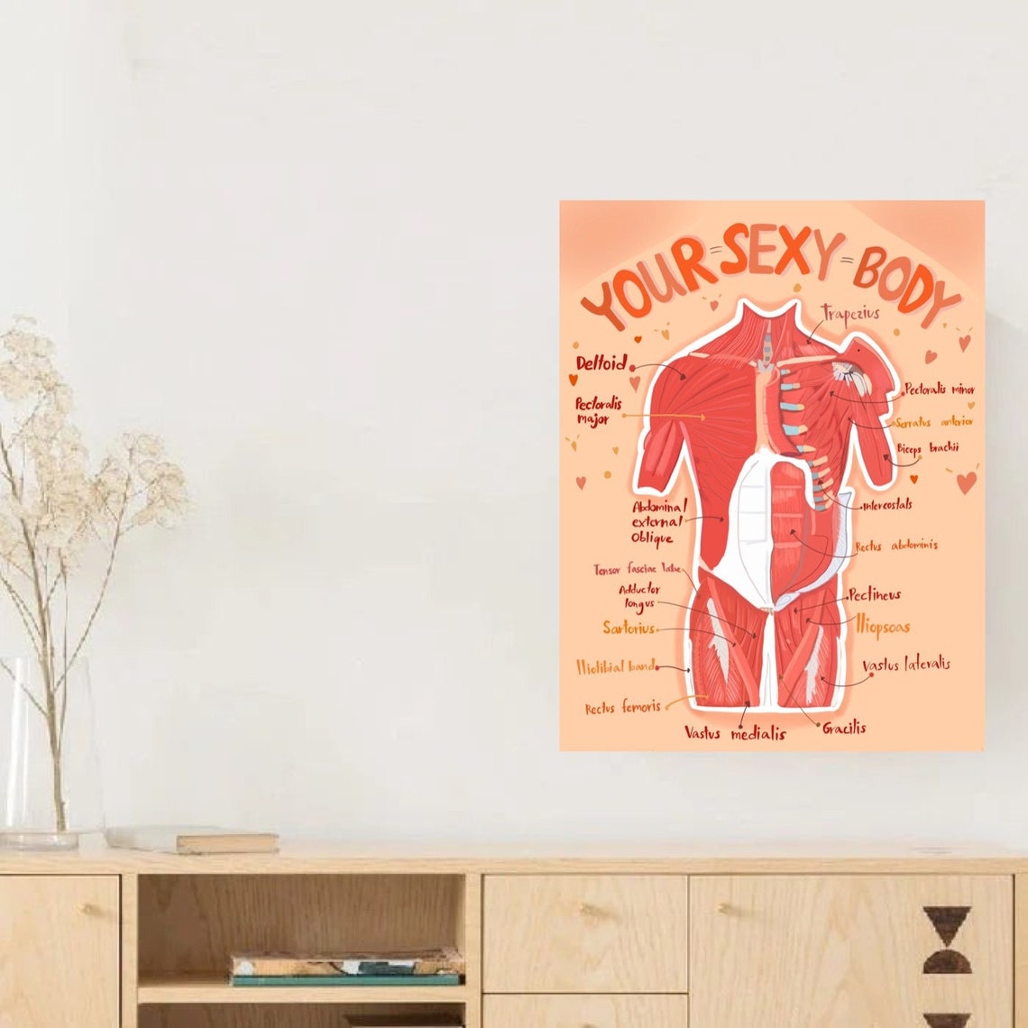 Human Muscles Anatomy Poster / Illustrations / Clinic Art - Etsy