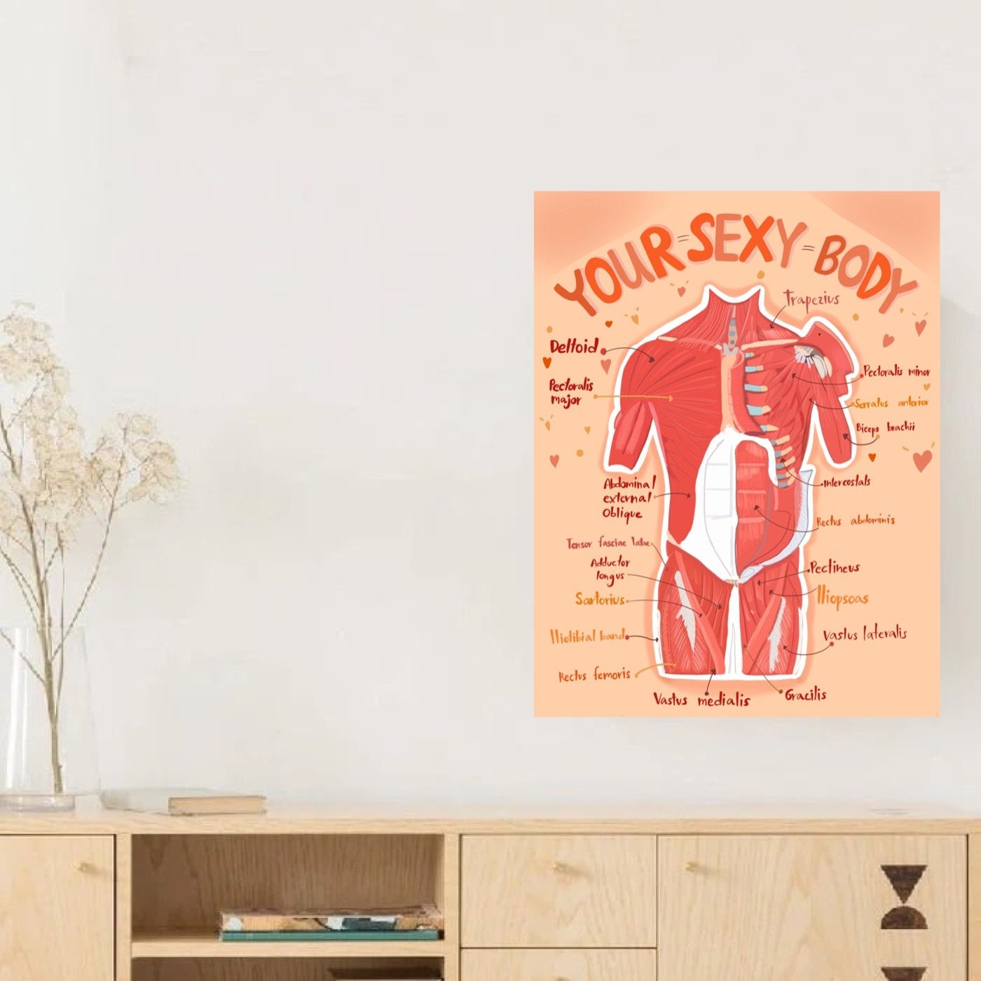 Human Muscles Anatomy Poster / Illustrations / Clinic Art Digital/ Wall ...