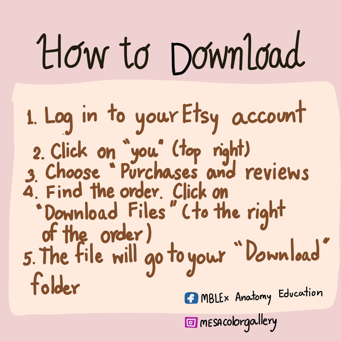 Human Anatomy, Internal Organs Sticker, Student Digital Planner ...