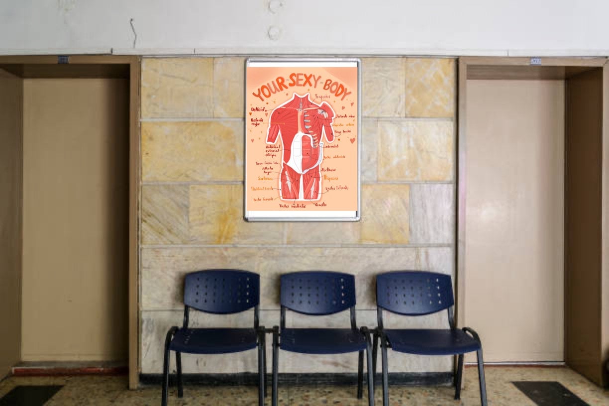 Human Muscles Anatomy Poster / Illustrations / Clinic Art Digital/ Wall ...