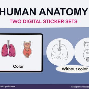 Human Anatomy, Internal Organs Sticker, Student Digital Planner ...