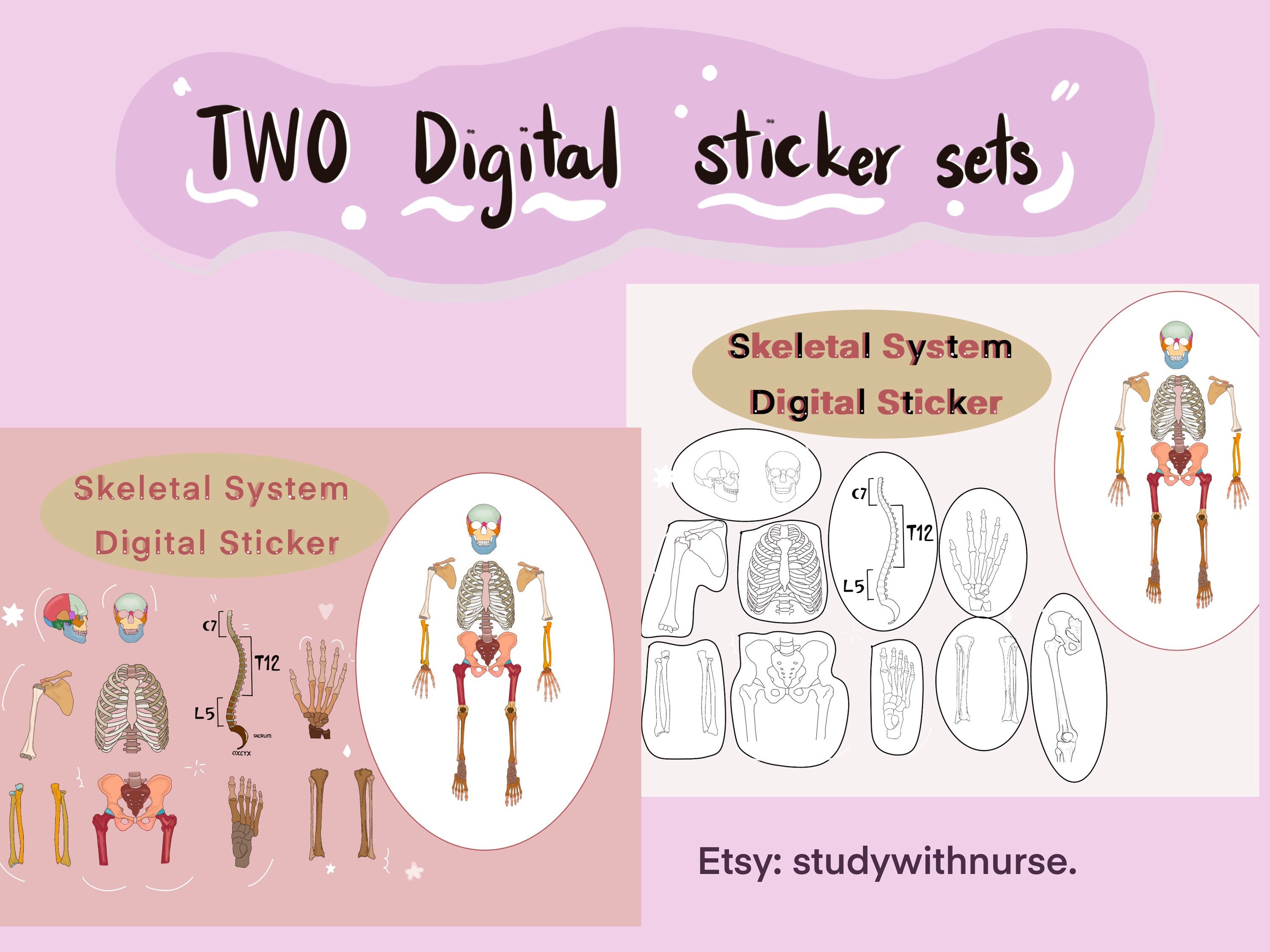 Human Skeletal System Anatomy Sticker, Student Digital Planner ...