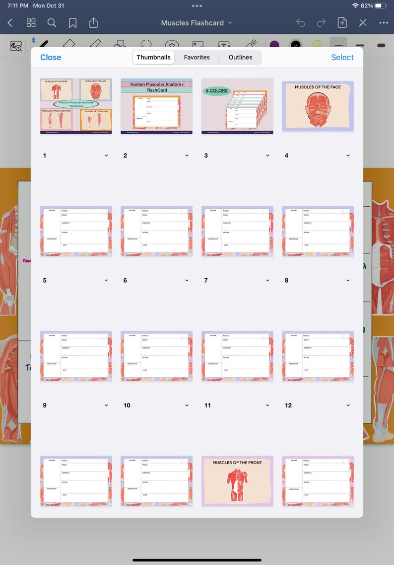 Human Muscles Anatomy Flash Card/ Anatomy Note/ Printable/digital ...