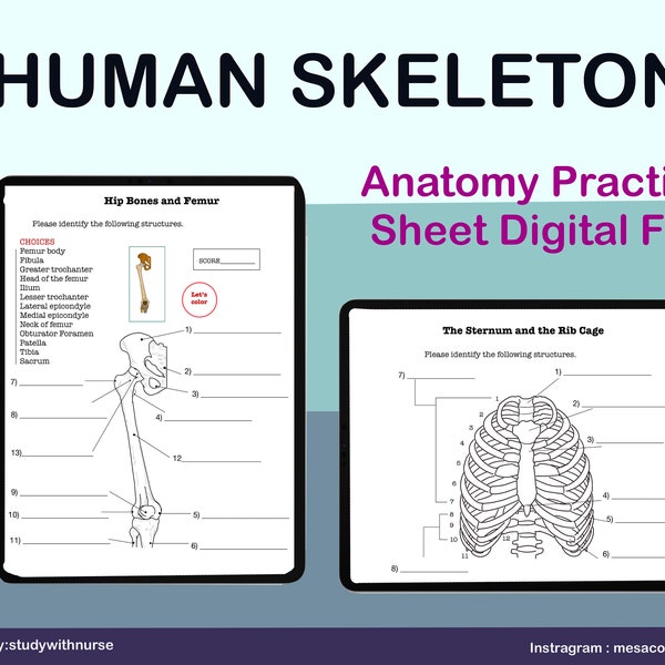 Human Anatomy Printable - Etsy