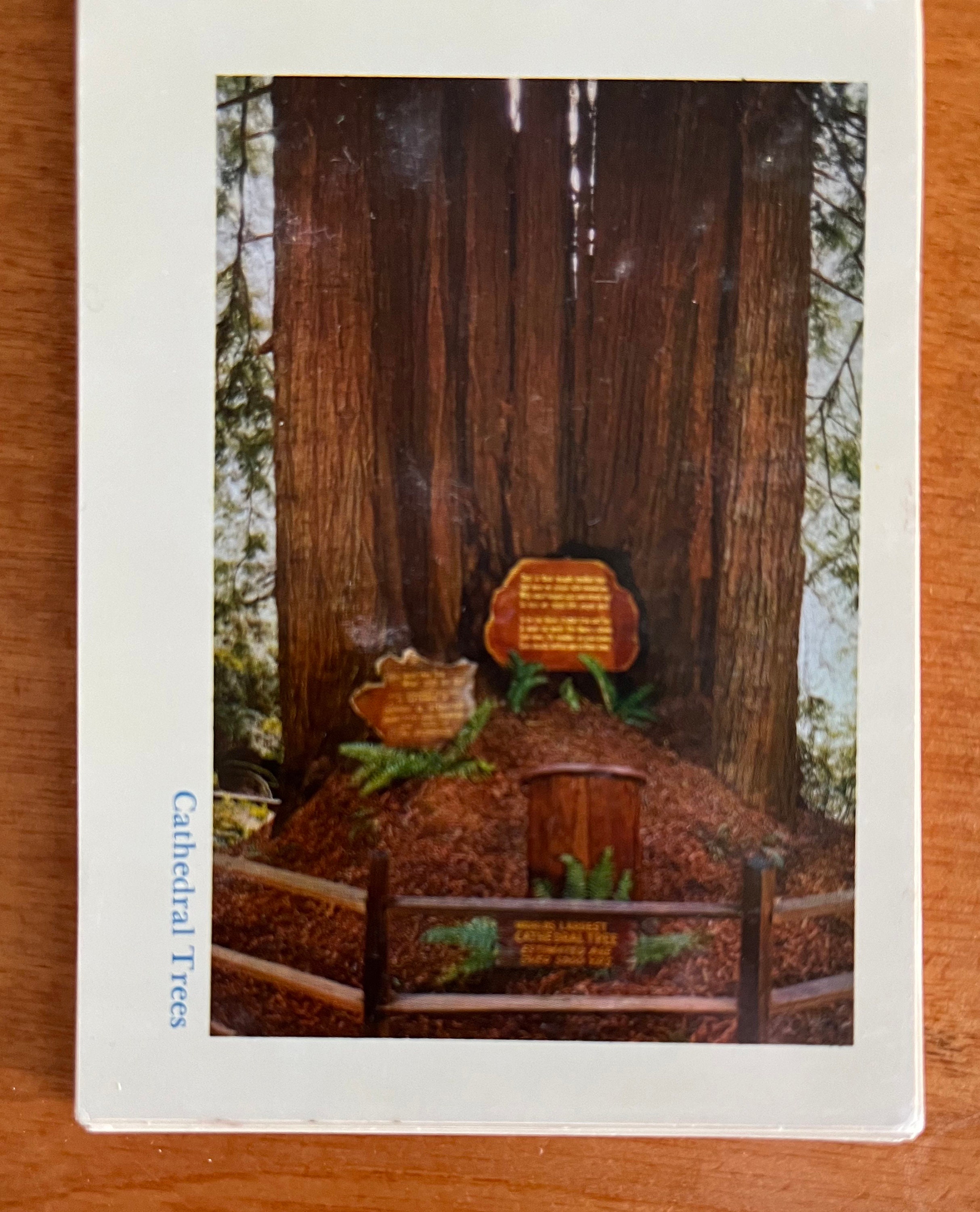 Vintage Bound Postcard Booklet Trees of Mystery Klamath, California - Etsy
