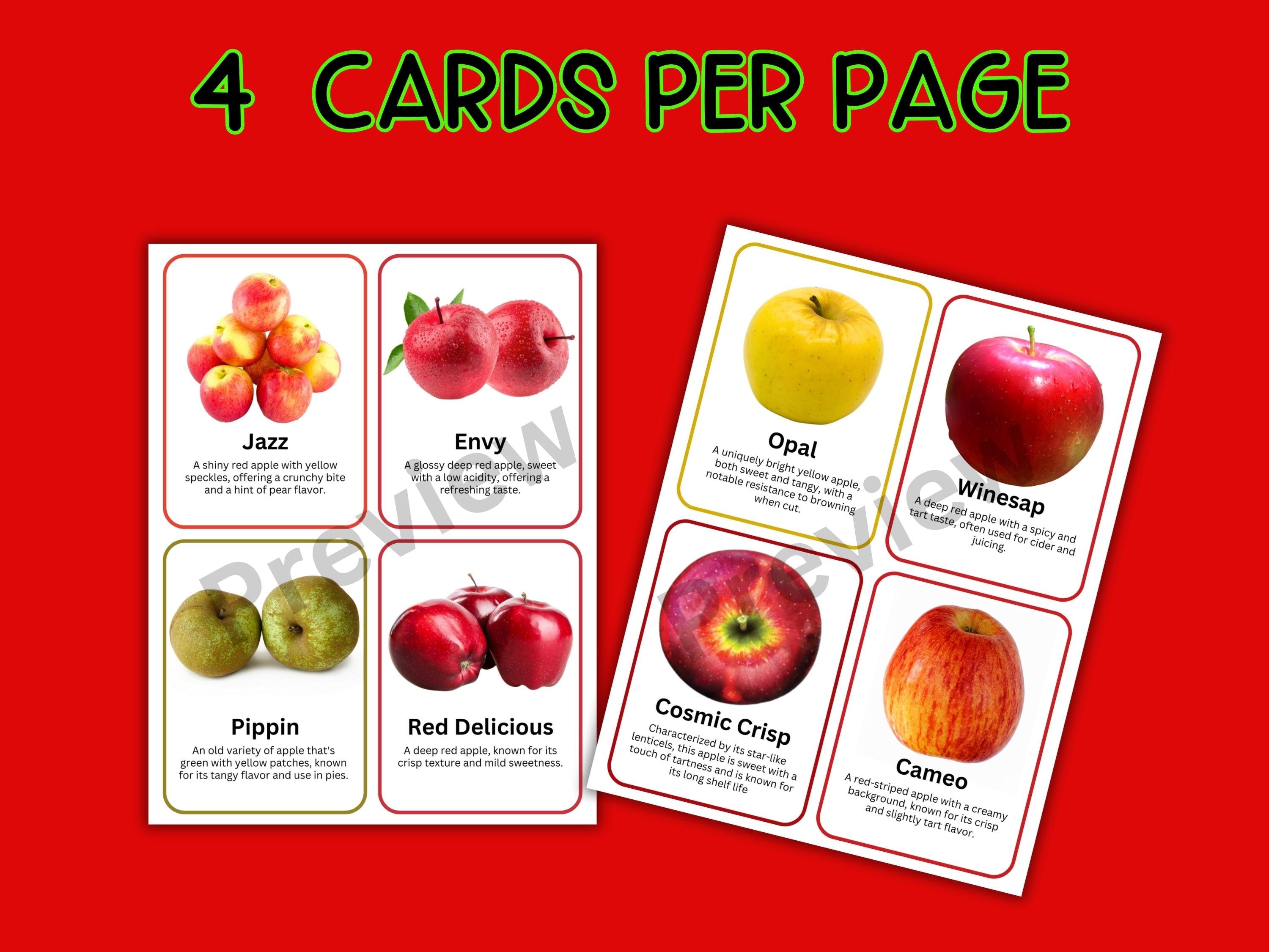 Apple Varieties Flashcards Apples Flash Card 23 Real Images for Autumn ...