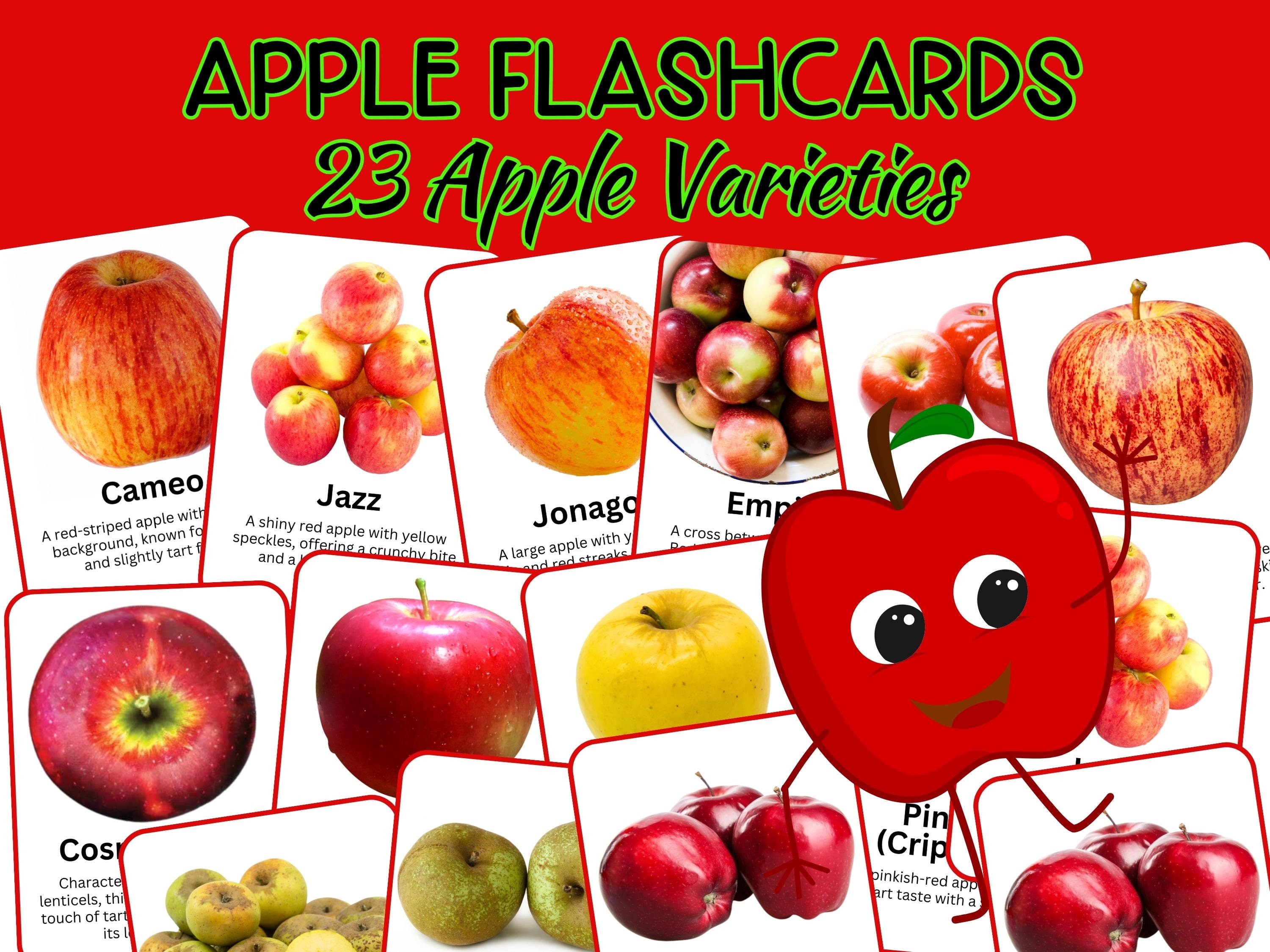 Complete Apple Learning Bundle: Coloring Pages Flashcards & - Etsy