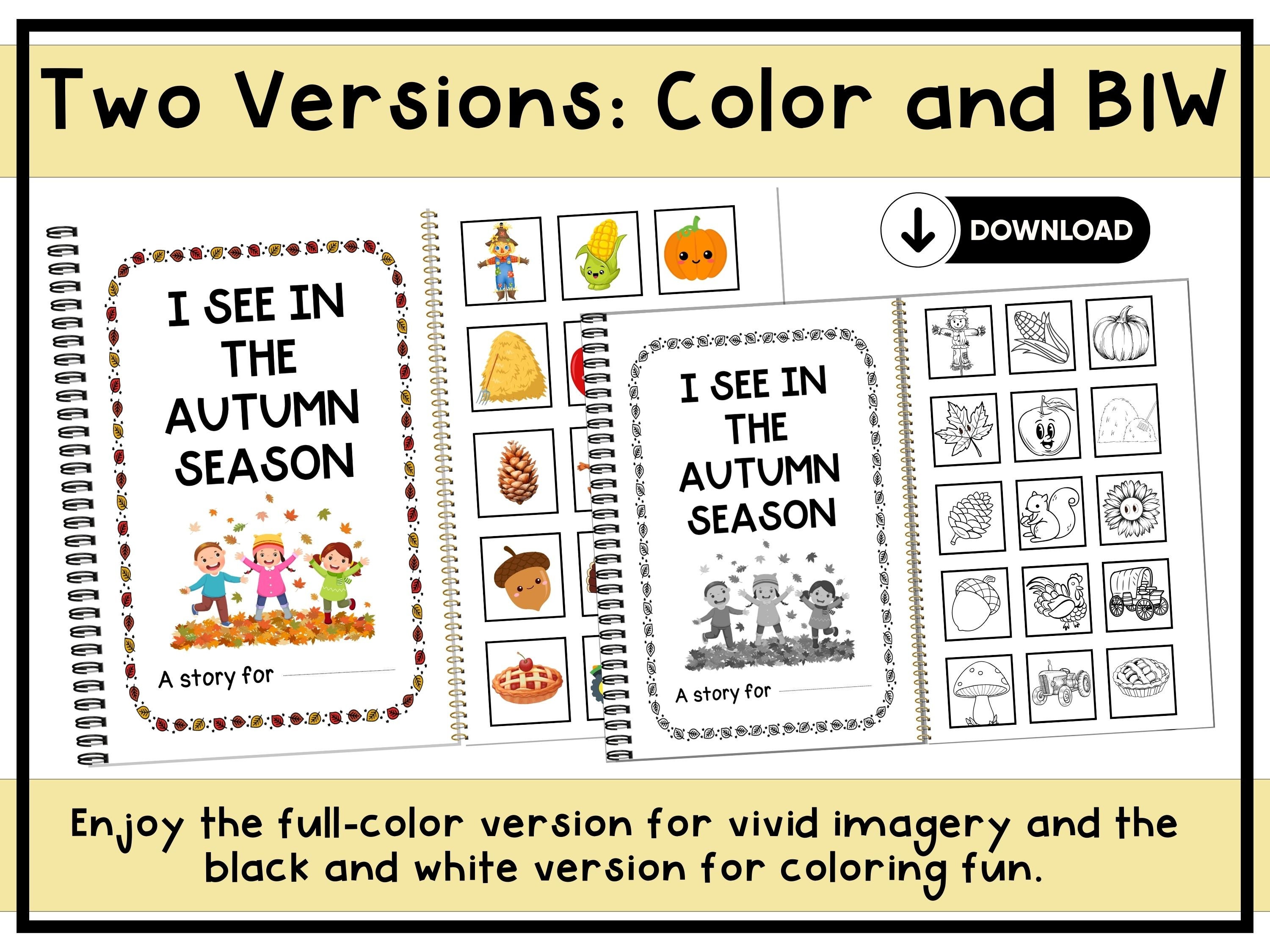 Autumn Adapted Book, Special Education, Interactive Learning (digital ...