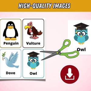 Printable Spring Birds Flash Cards | Springtime Montessori Cards ...