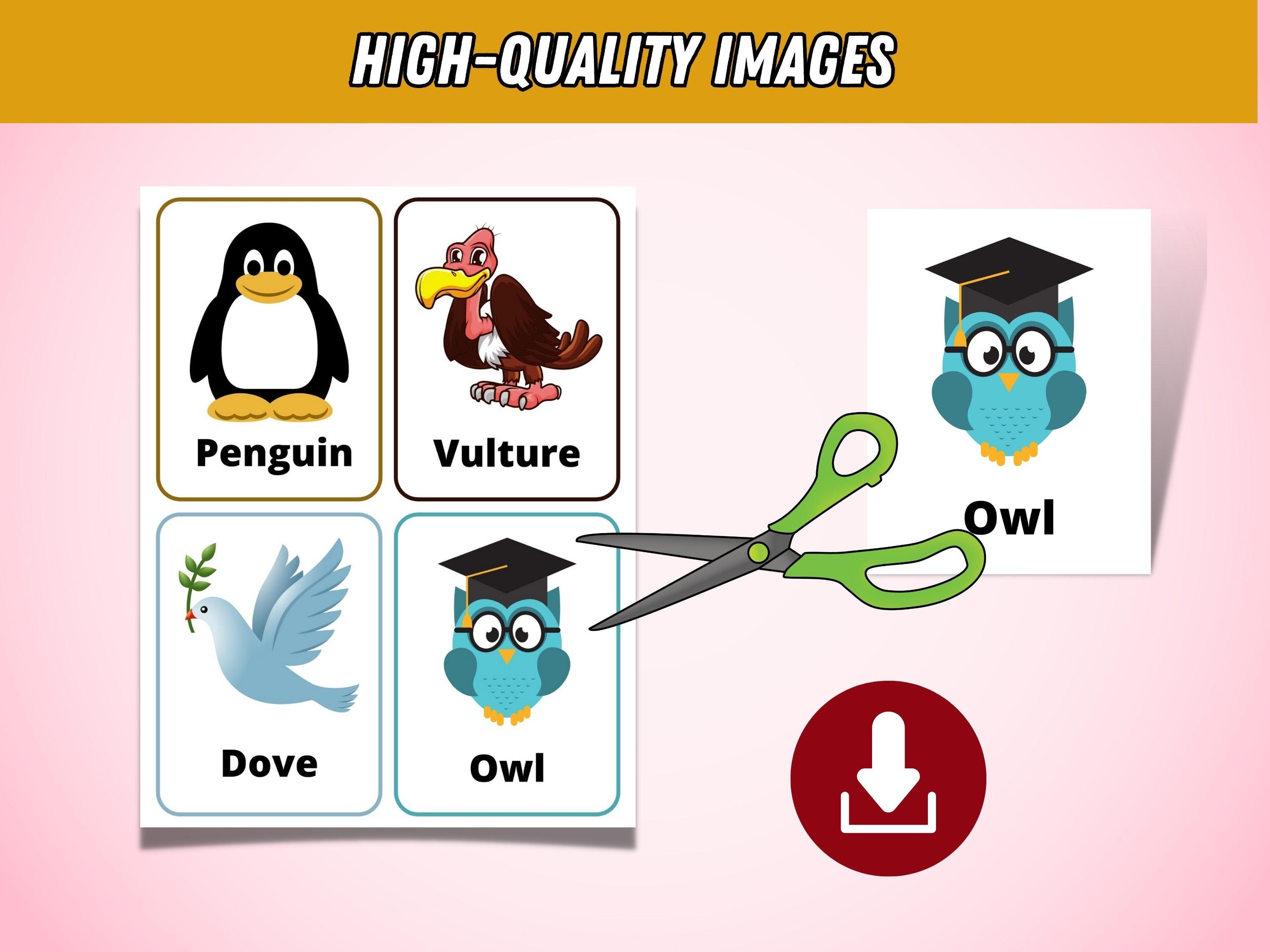 Printable Spring Birds Flash Cards Springtime Montessori Cards ...