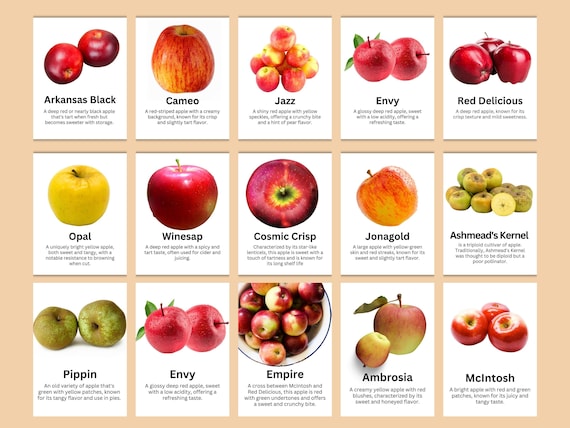 Apple Varieties Comparison Chart