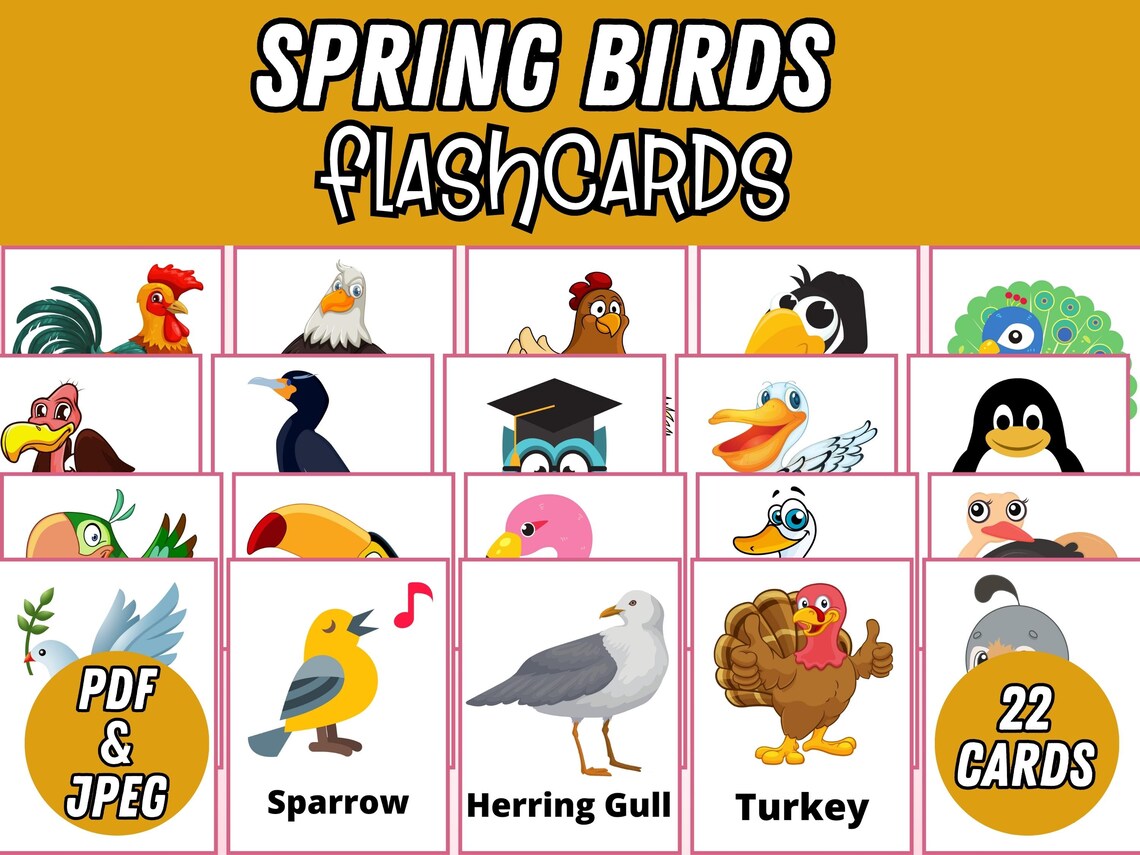 Printable Spring Birds Flash Cards Springtime Montessori Cards ...