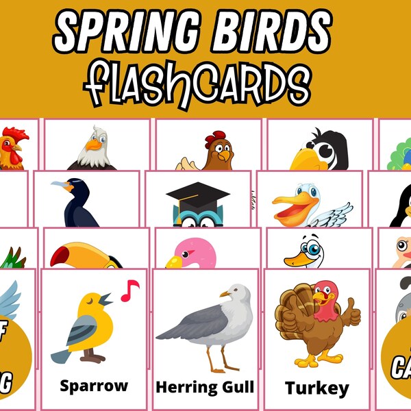 Bird Flash Cards - Etsy