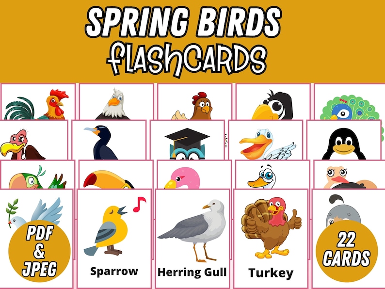 Printable Spring Birds Flash Cards Springtime Montessori Cards ...