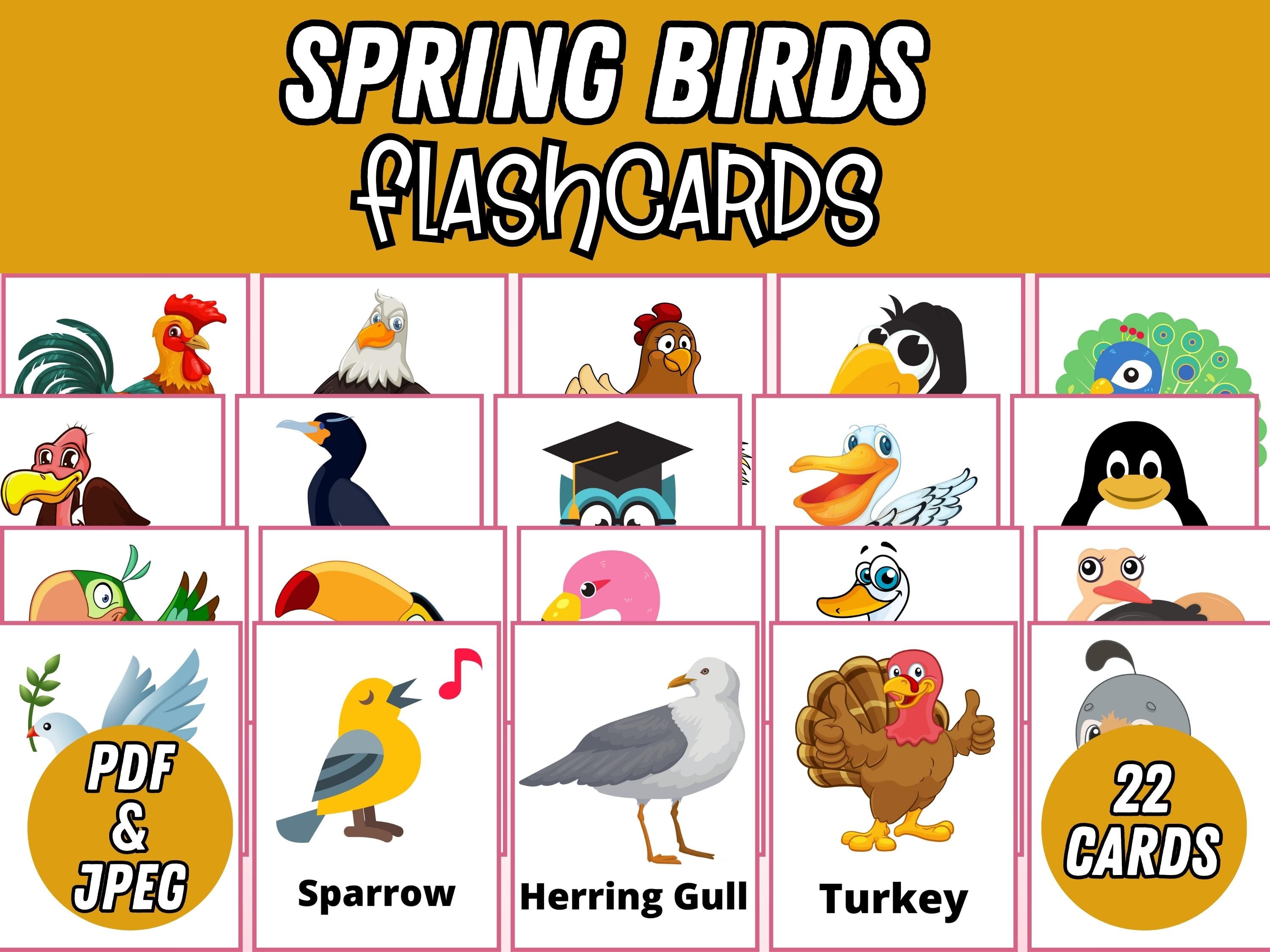 Printable Spring Birds Flash Cards Springtime Montessori Cards ...