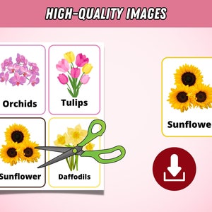 Printable Spring Flower Flash Cards | Springtime Montessori Cards ...
