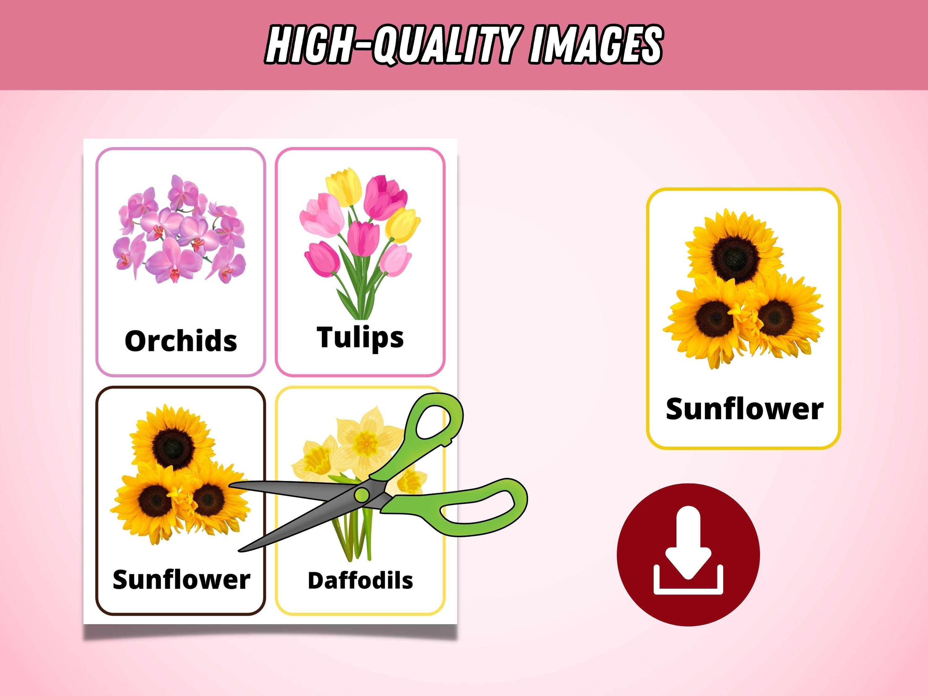 Printable Spring Flower Flash Cards Springtime Montessori Cards ...