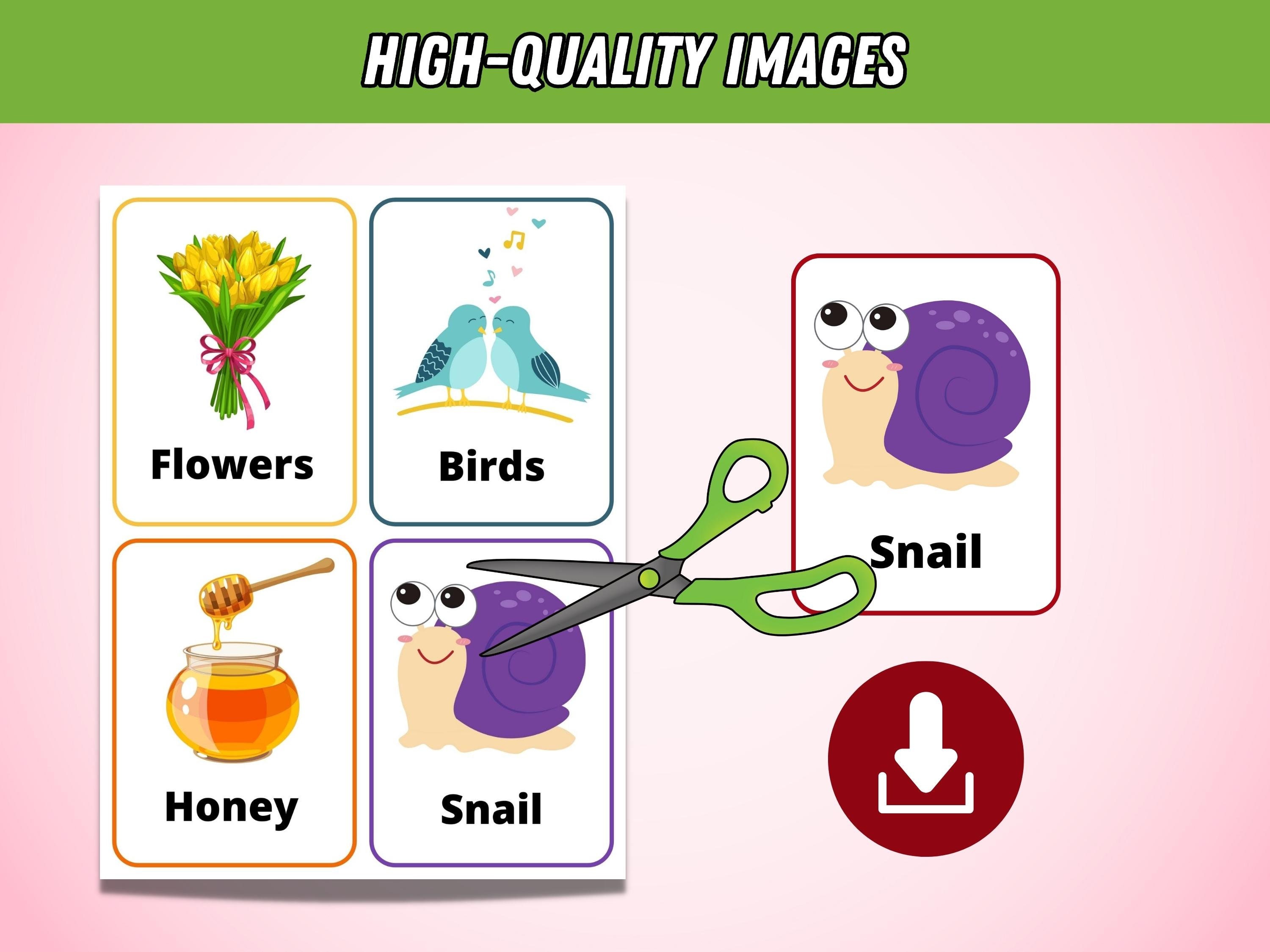 Printable Spring Sight Words Flash Cards Springtime Montessori Cards ...