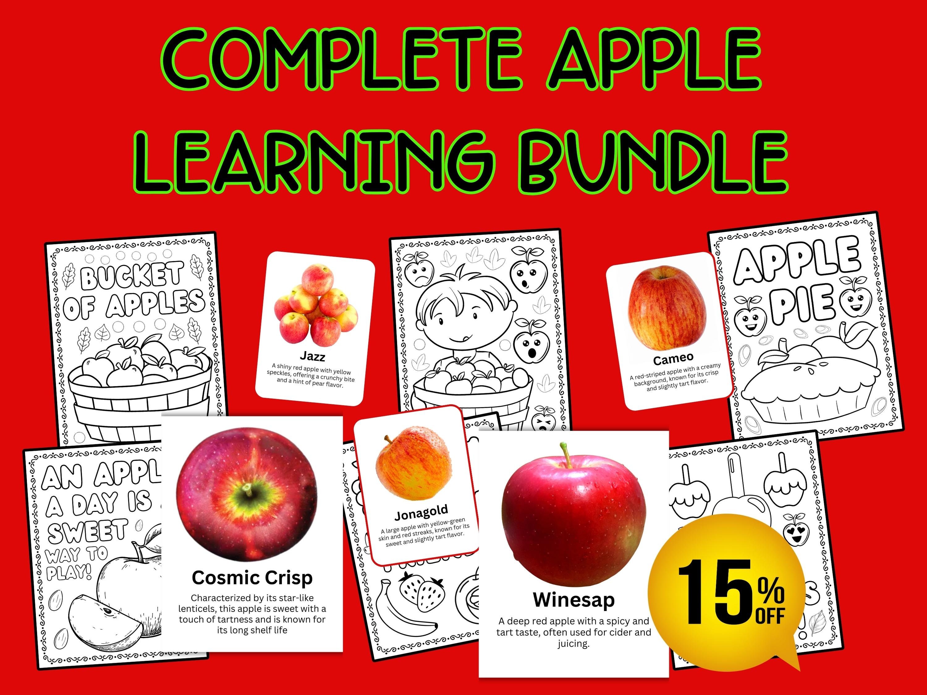Complete Apple Learning Bundle: Coloring Pages Flashcards & - Etsy