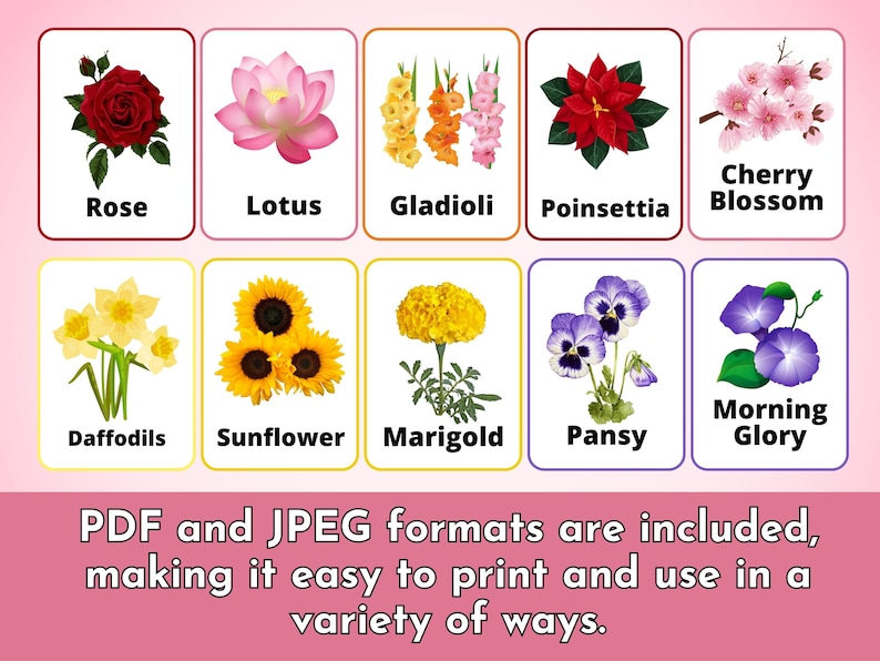 Printable Spring Flower Flash Cards Springtime Montessori Cards ...