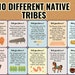 A Child’s Journey Through Native Tribes Flashcards - Native American ...