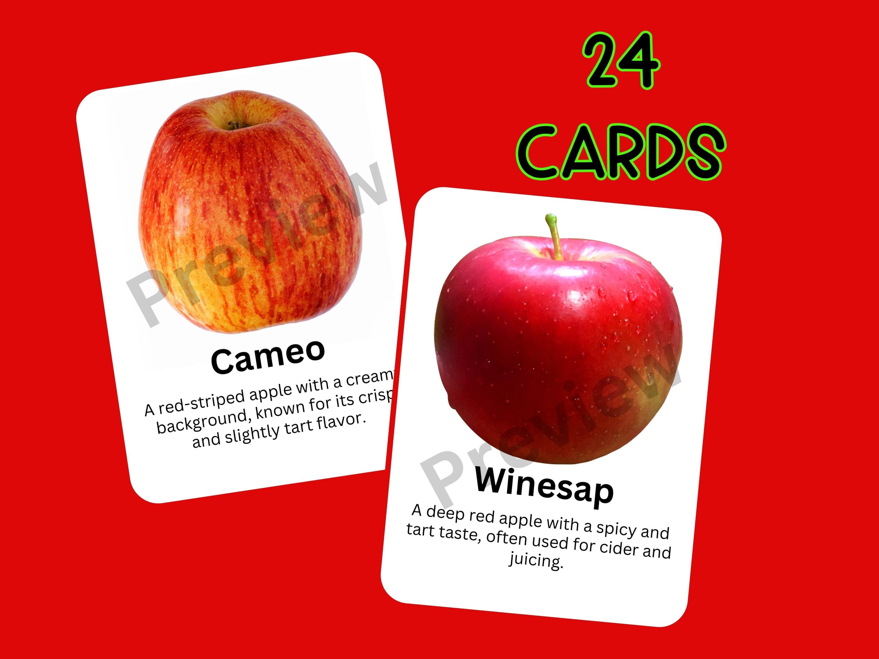 Apple Varieties Flashcards Apples Flash Card 23 Real - Etsy