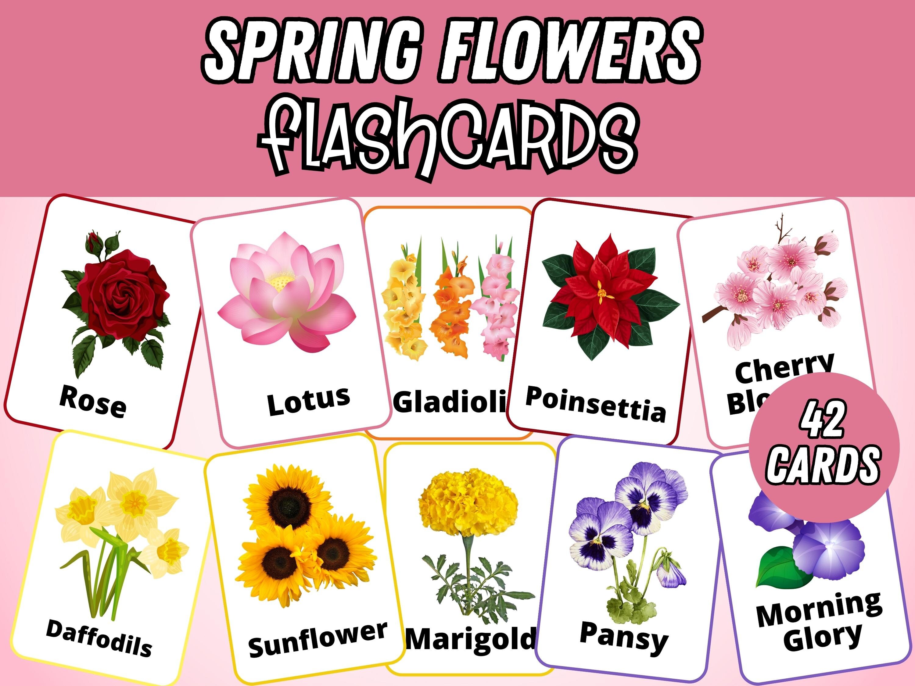 Printable Spring Activities Bundle Spring and Easter Game Puzzles ...