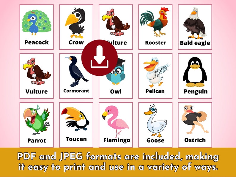 Printable Spring Birds Flash Cards Springtime Montessori Cards ...