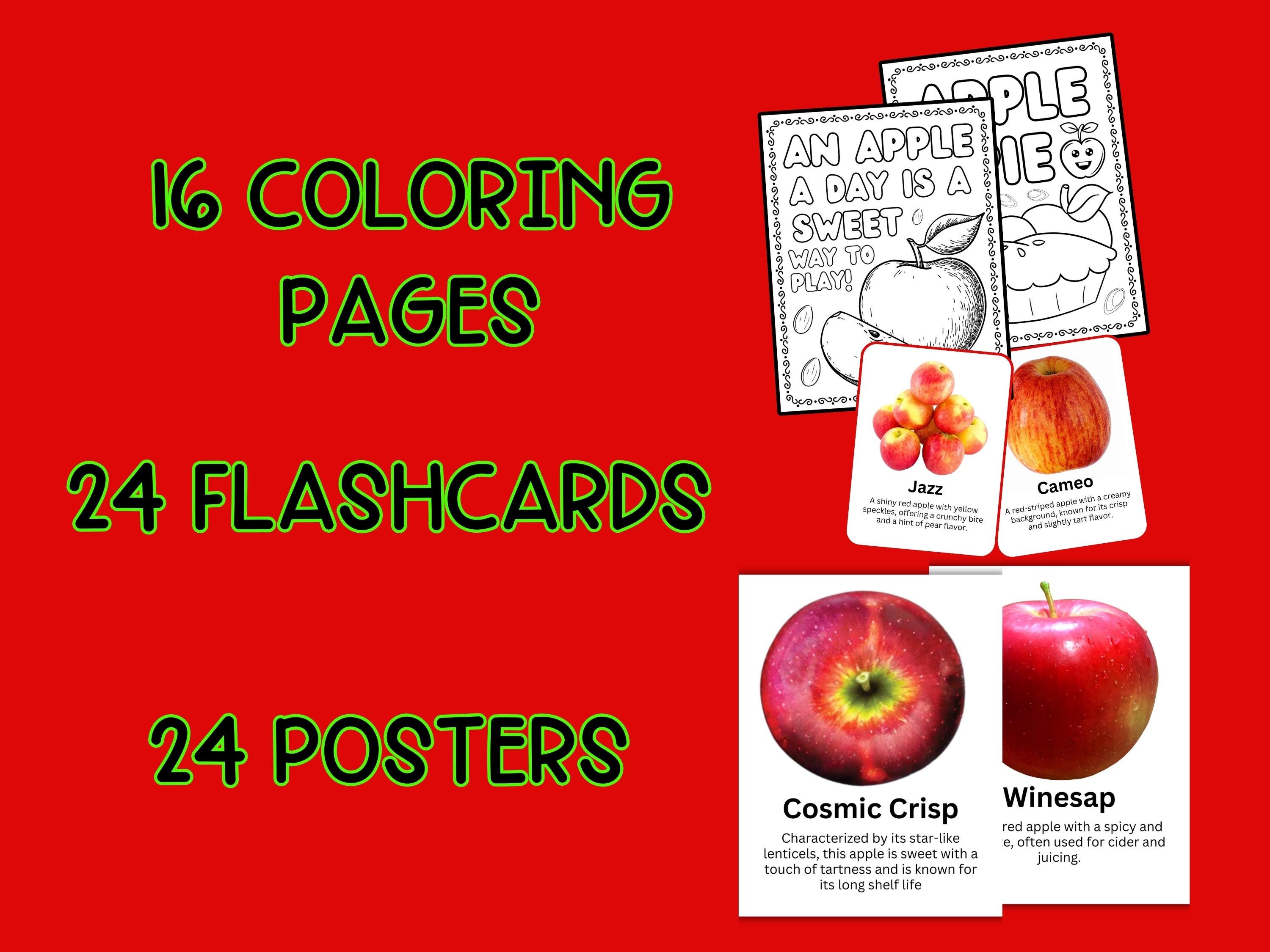 Complete Apple Learning Bundle: Coloring Pages Flashcards & - Etsy