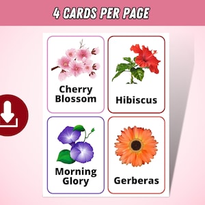 Printable Spring Flower Flash Cards | Springtime Montessori Cards ...