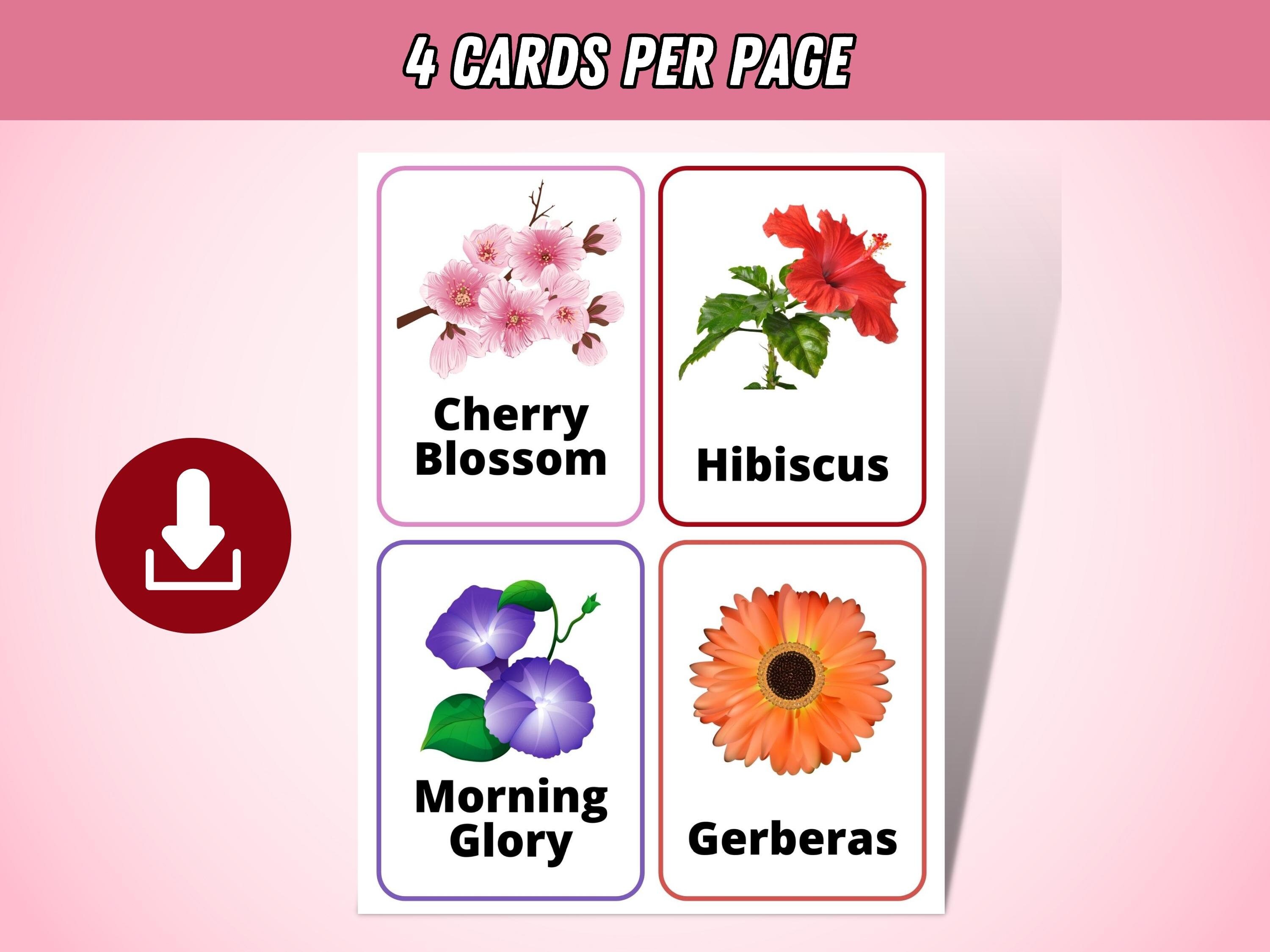 Printable Spring Flower Flash Cards Springtime Montessori Cards ...
