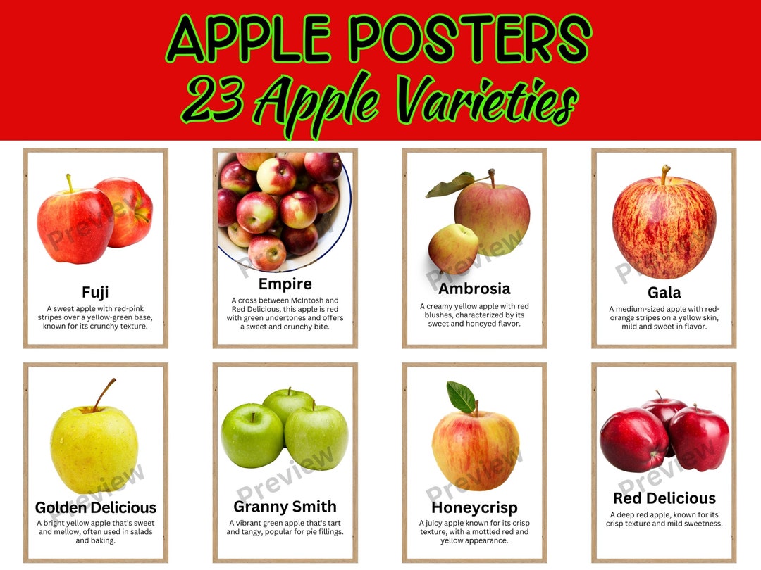Apple Varieties Posters | Apple Bulletin Board | 23 Real Images for ...