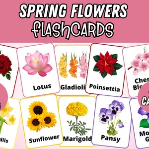 Printable Spring Flower Flash Cards | Springtime Montessori Cards ...