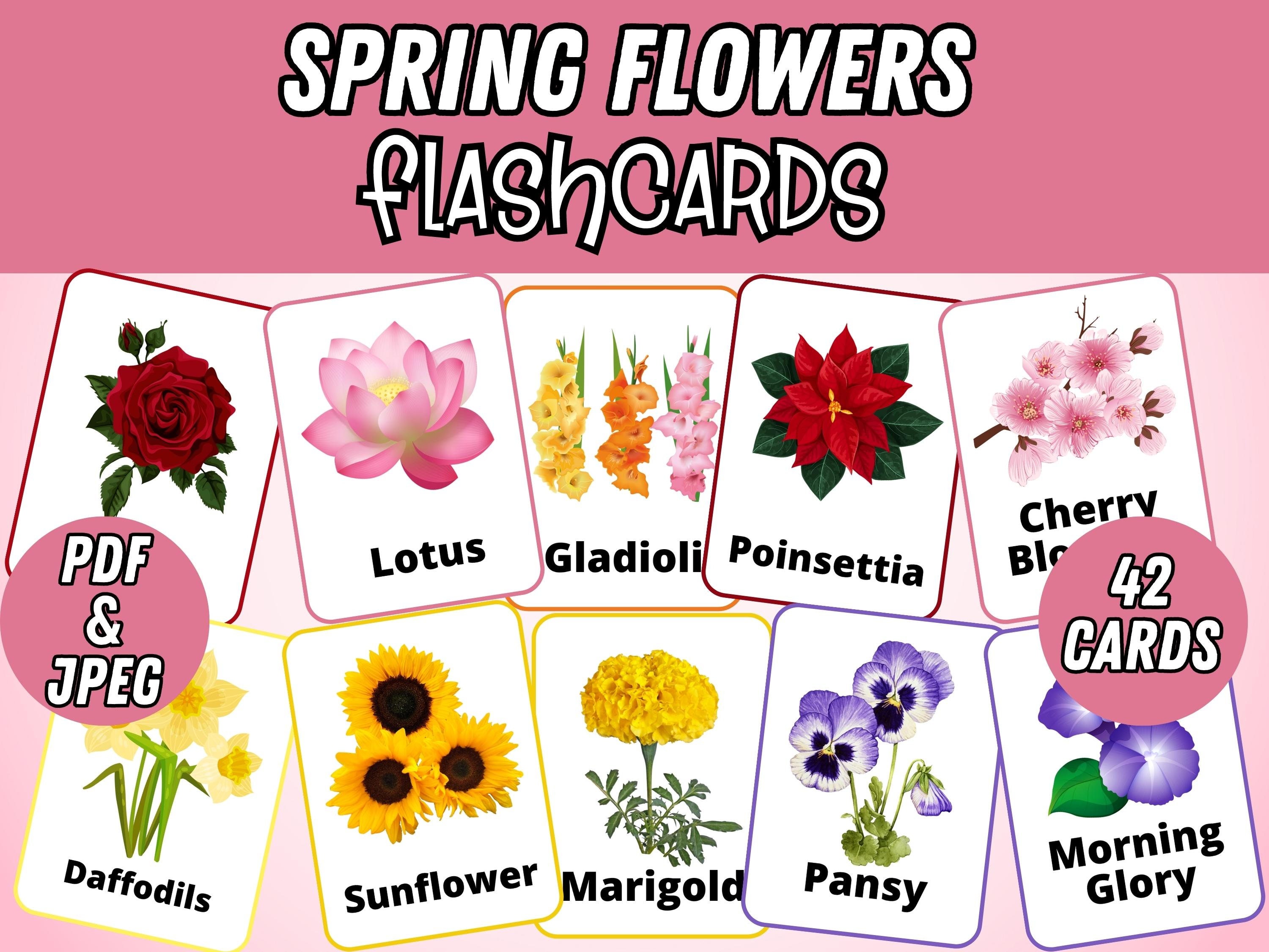 Printable Spring Flower Flash Cards Springtime Montessori Cards ...