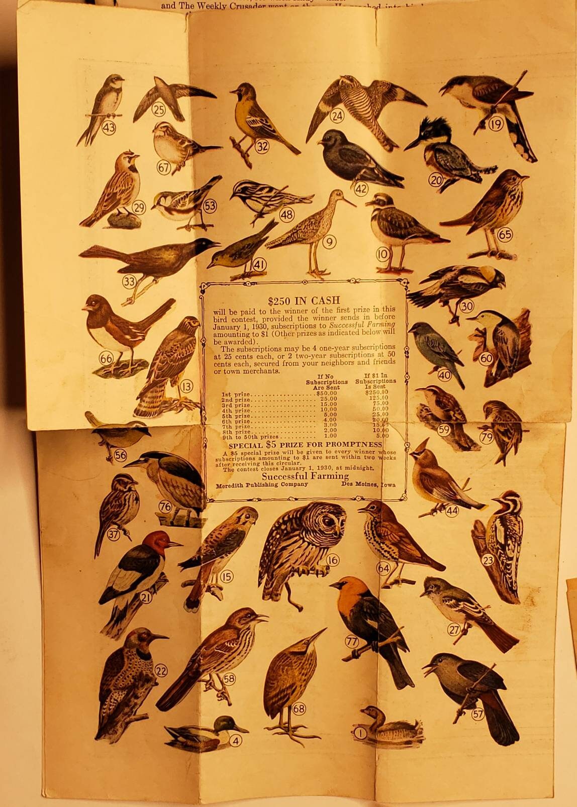 1930s Vintage Bird Journal With Articles/ads/cards From Rural - Etsy UK