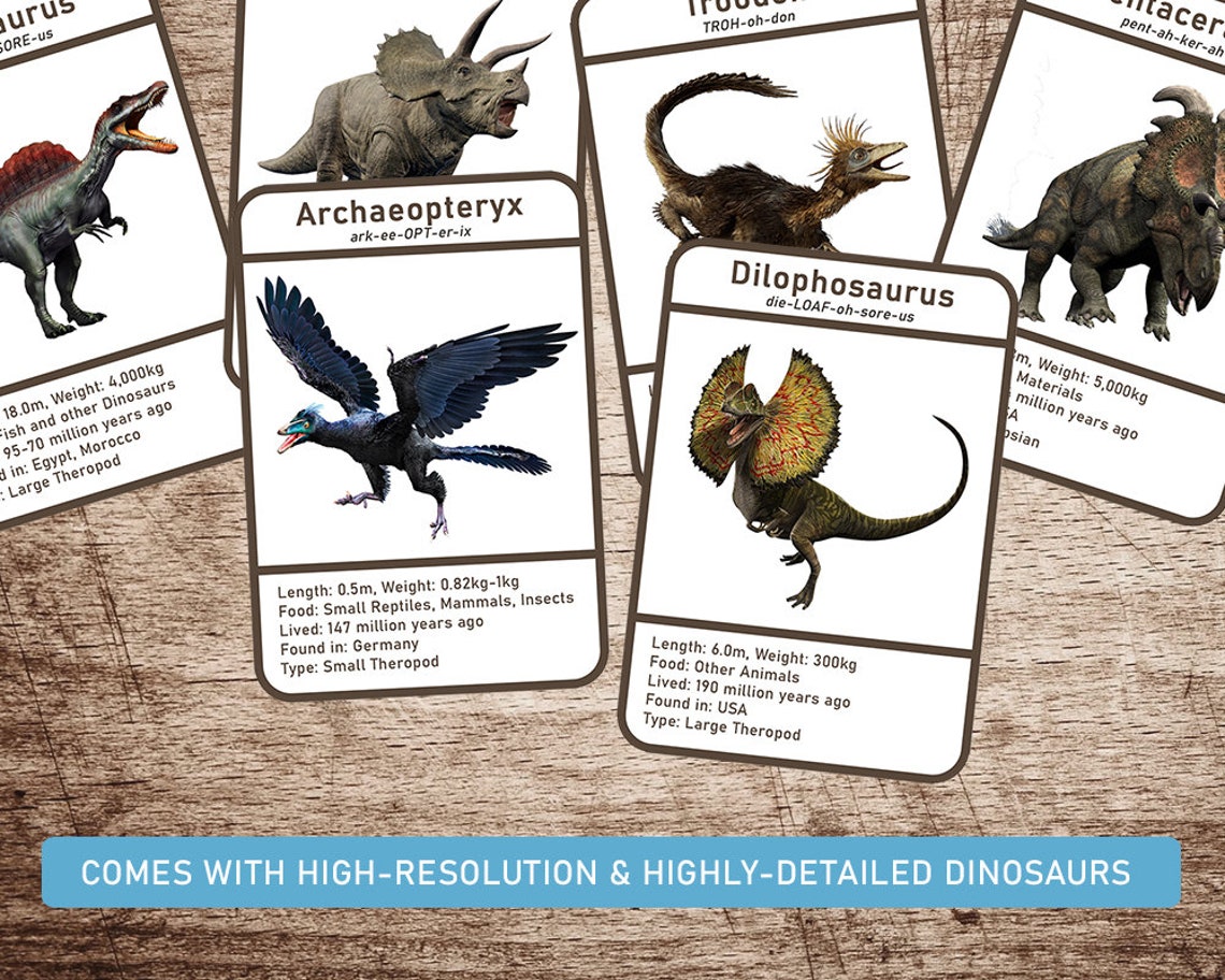 DINOSAURS (real Pictures) | 40 Montessori Cards | Flash Cards ...