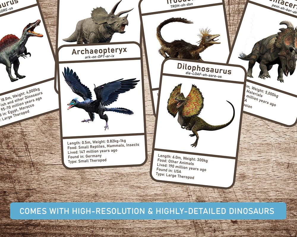 DINOSAURS (real Pictures) | 40 Montessori Cards | Flash Cards ...