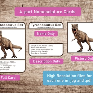 DINOSAURS (real Pictures) | 40 Montessori Cards | Flash Cards ...