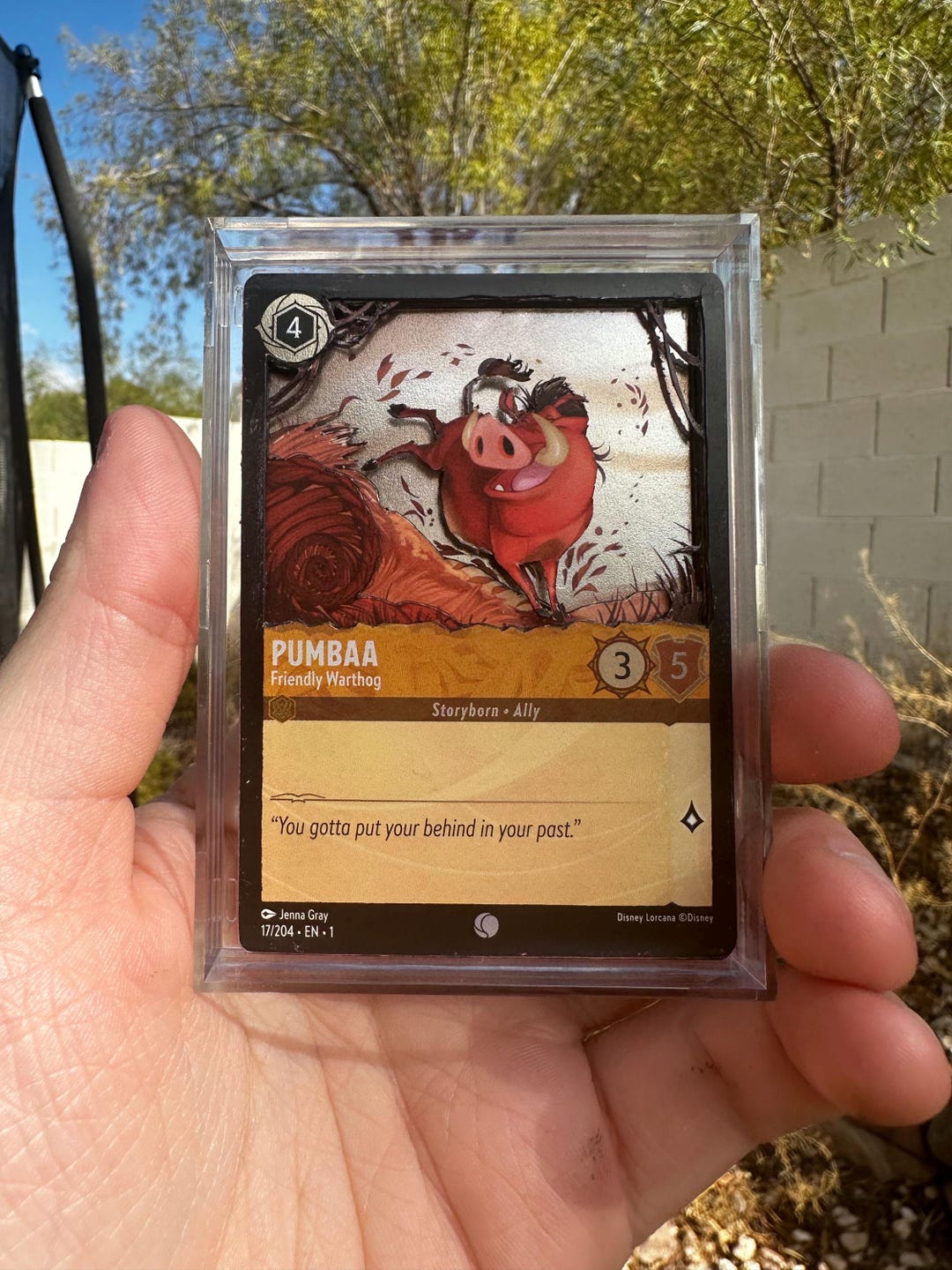 3D Disney Lorcana Shadowbox Card Pumbaa - Etsy