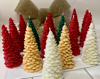 Green Pillar Pin Oak Quercus Palustris 'pringreen' Grafted Tree Plant ...