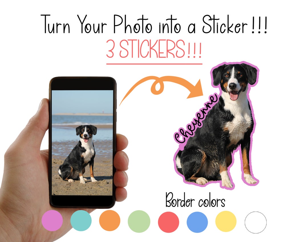 Pet Photo Stickers, Custom Photo Pet Sticker, Dog Sticker, Cat Stickers ...