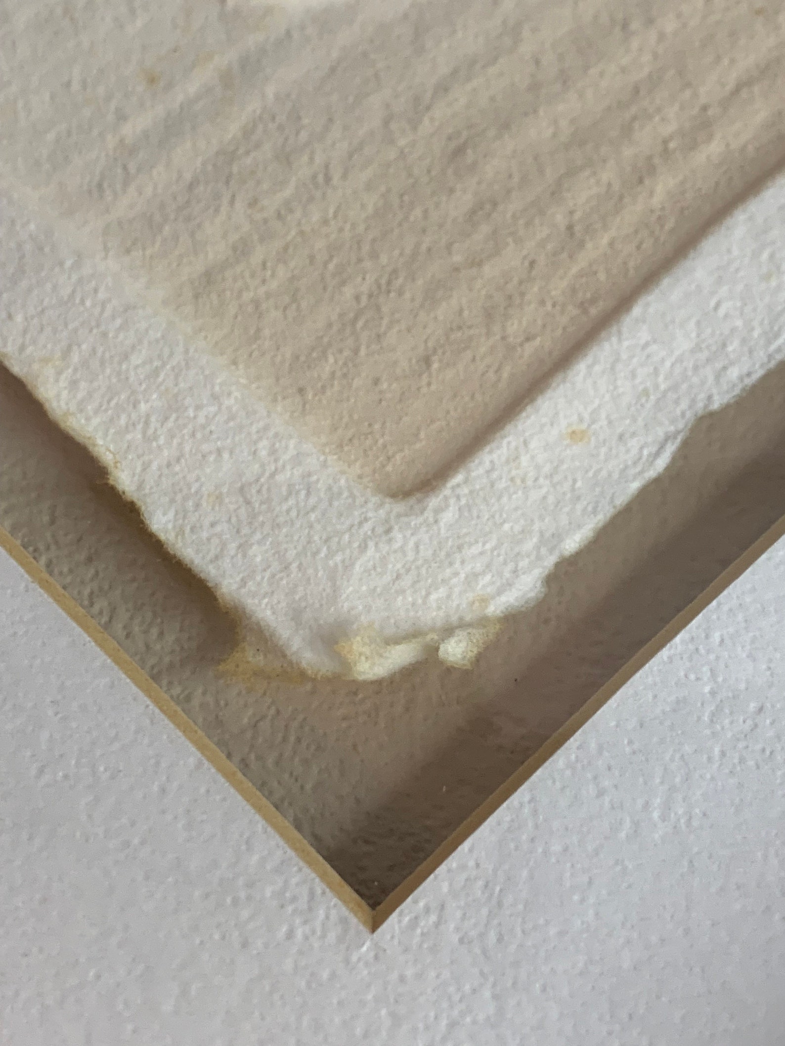 Vintage Hand Cast Paper White Swan Artist Signed Wess Framed - Etsy