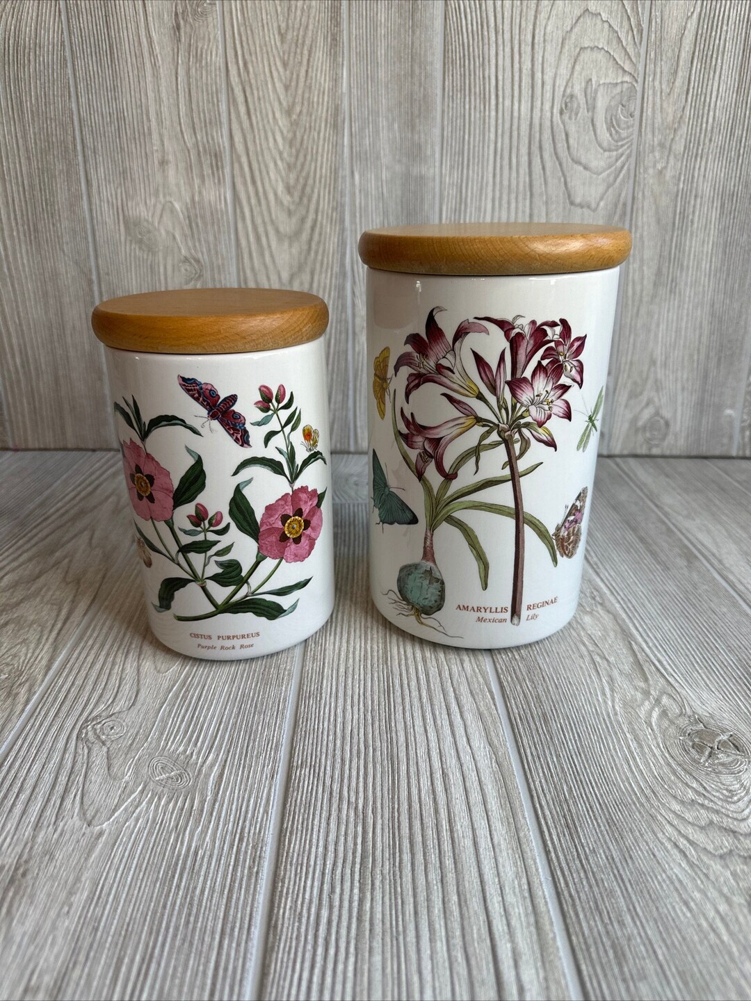 Vintage Portmeirion Botanic Garden Storage Jar/canister Set Wooden Lid ...