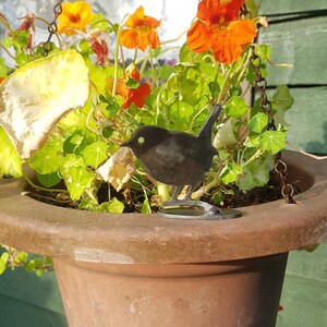 Metal Wren on Stand - 65x60mm - Garden Art - Made in Wales - Rusty ...