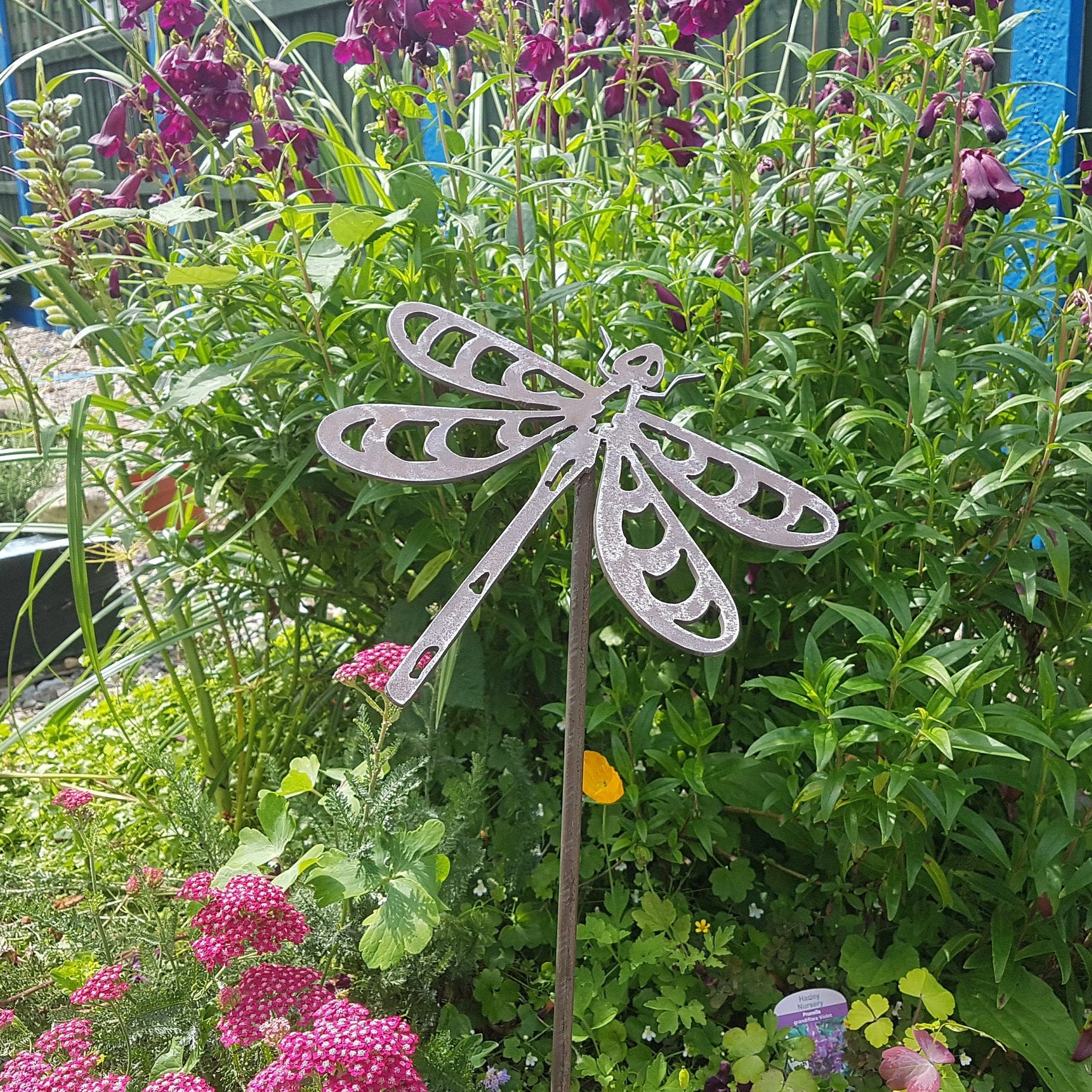 Metal Dragonfly art Garden Art Made in Wales Rusty Metal | Etsy