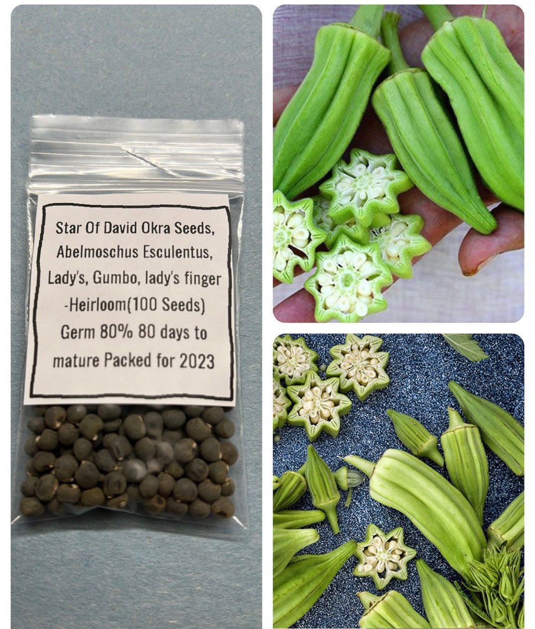 Star of David Okra Seed - Israeli Heirloom Gumbo Vegetable Seeds 100 ...